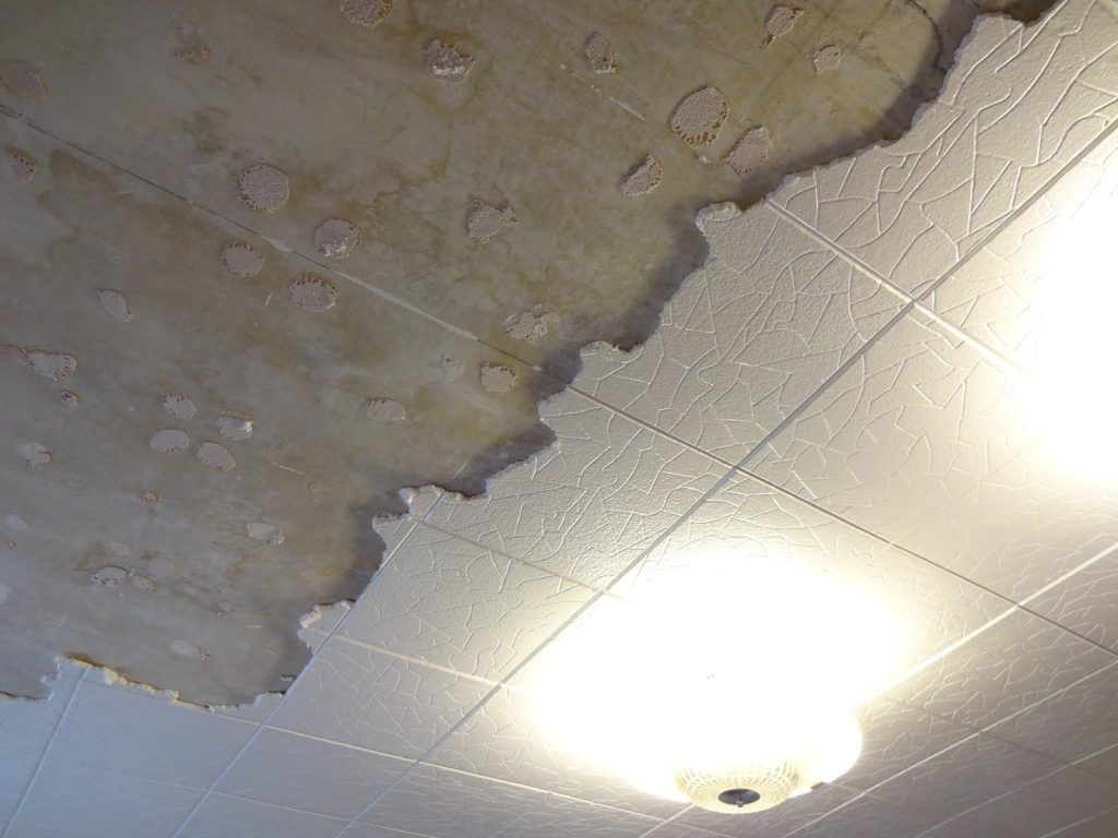 Ultimate Guide To Polystyrene Ceiling Installations – Buzz SurNet